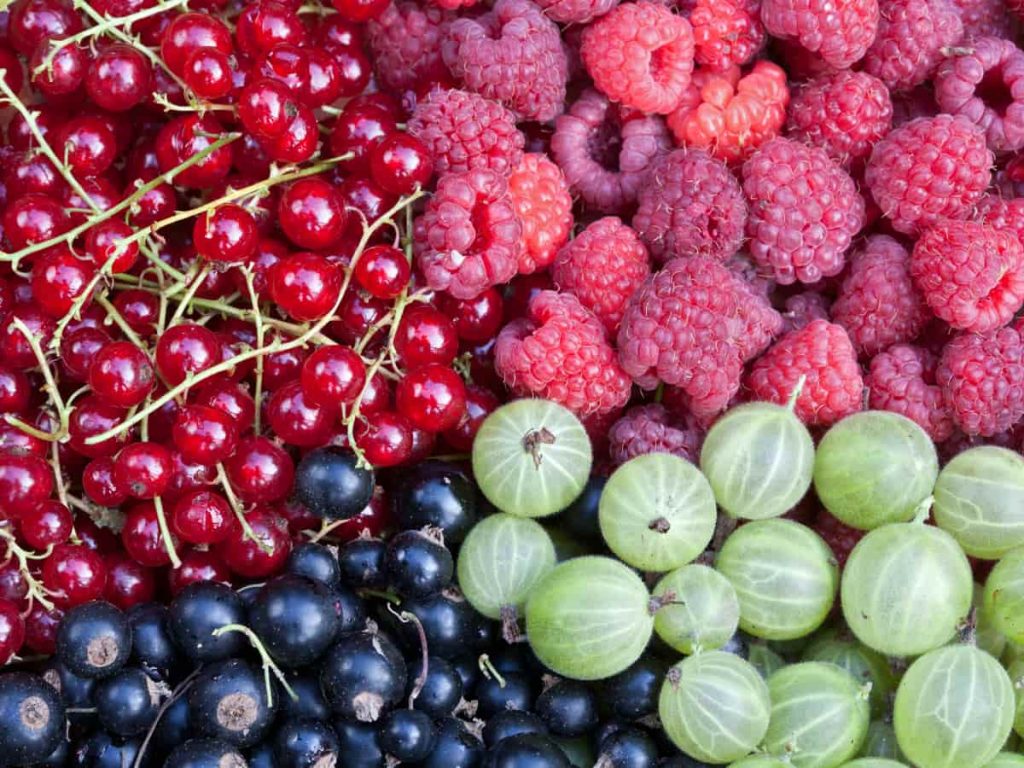 Summer Pudding with Scottish Berries - Farmersgirl Kitchen