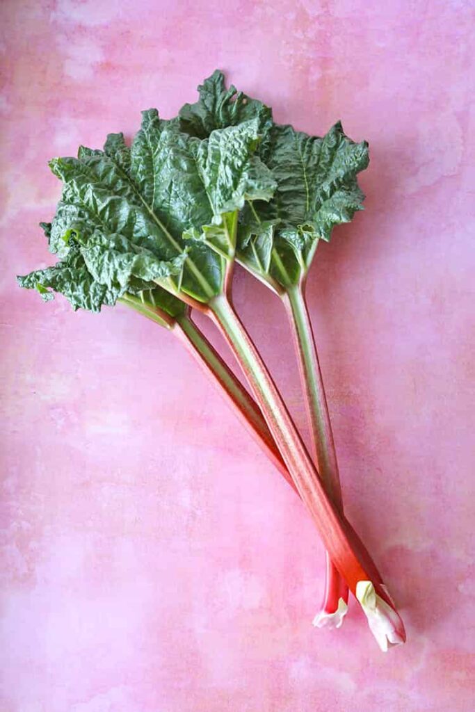 RHUBARB CHUTNEY - Farmersgirl Kitchen