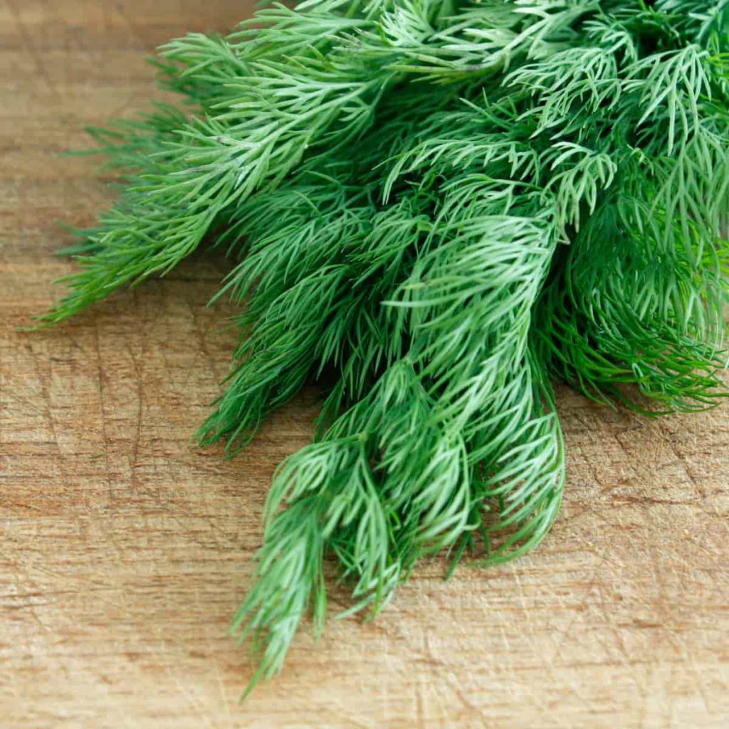 Dill & Onion Bread (Bread Machine) - Farmersgirl Kitchen