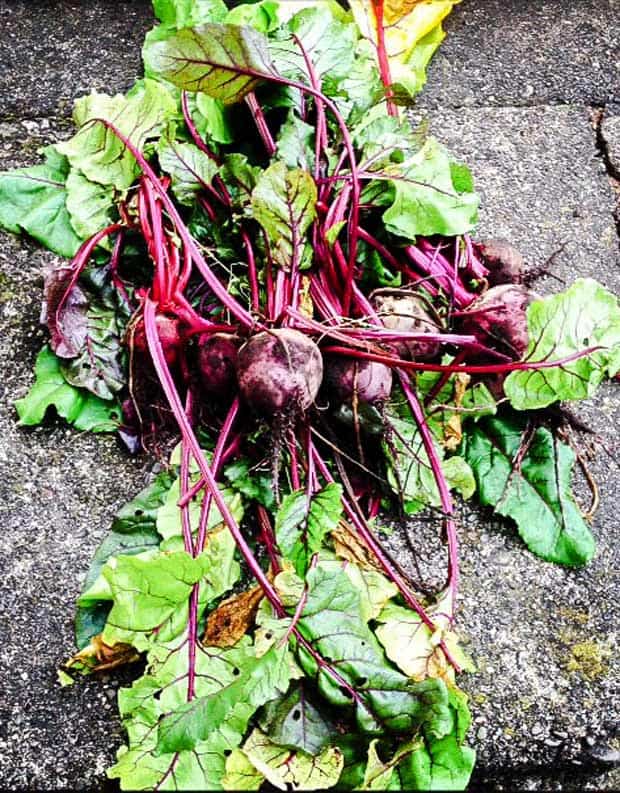 Baked Beetroot with Honey and Thyme | Farmersgirl Kitchen