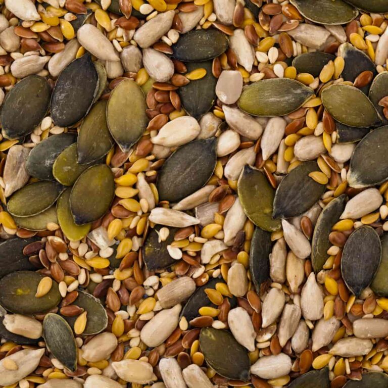 Muesli Bread Rolls - Farmersgirl Kitchen