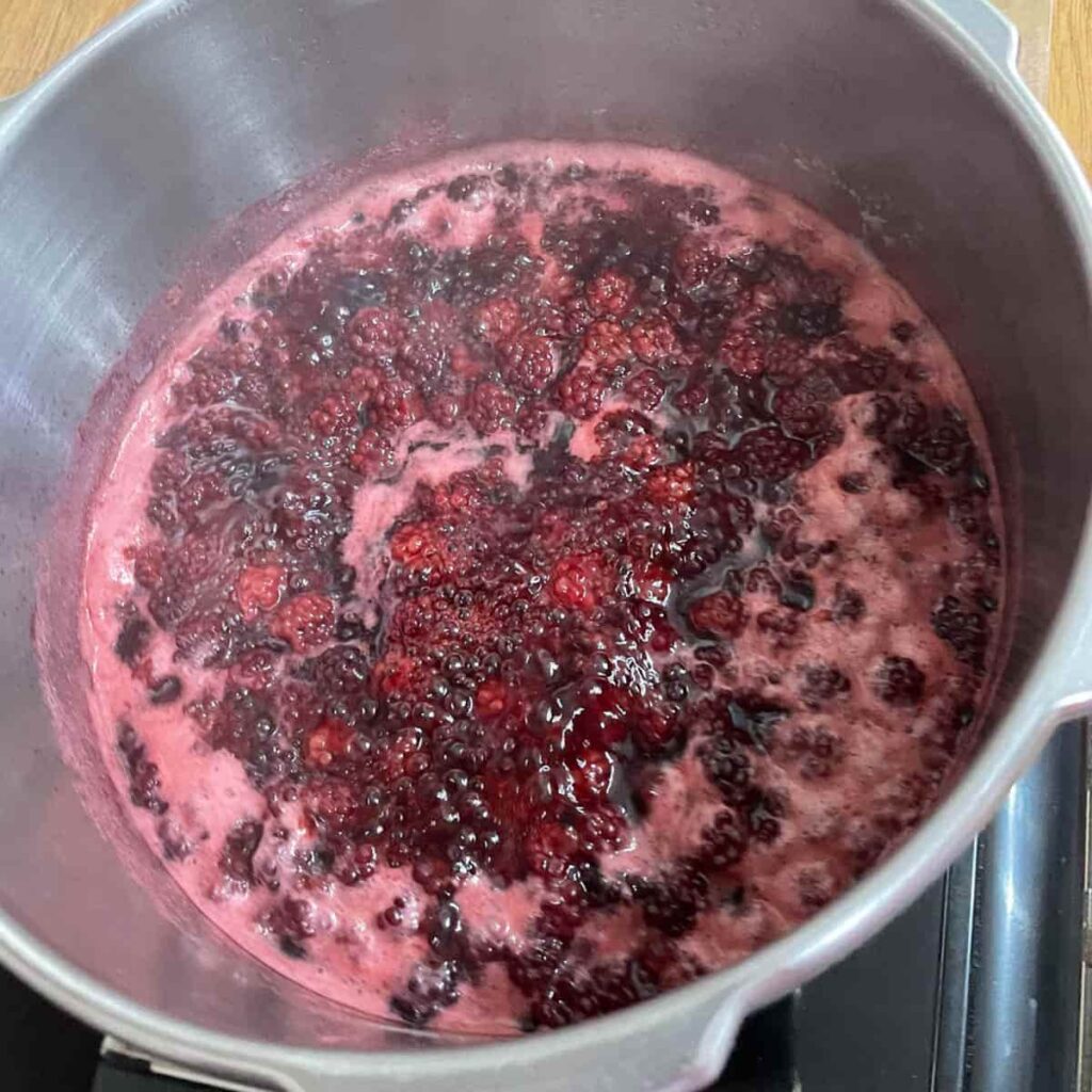 Blackberry and Vanilla Cordial - Farmersgirl Kitchen