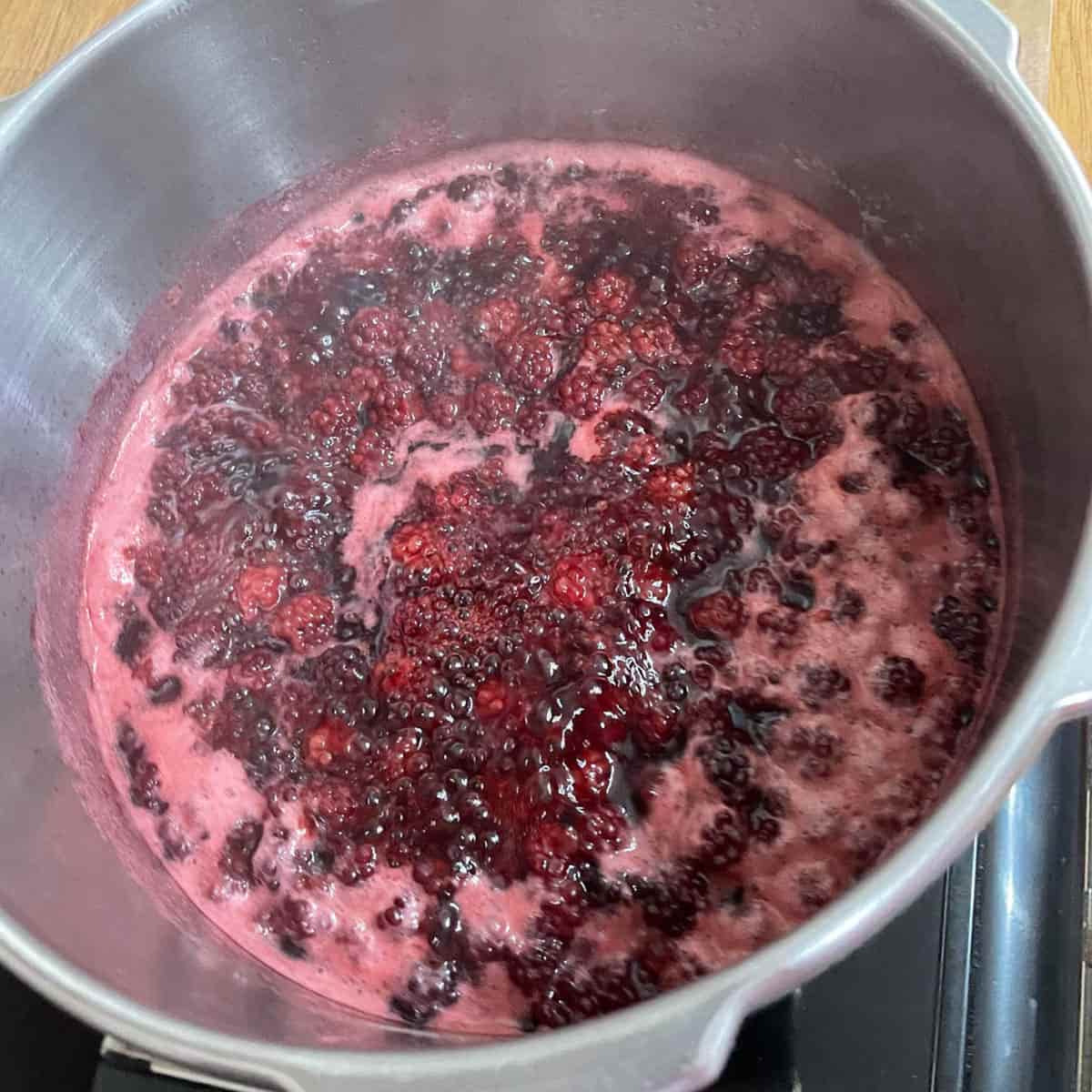 Blackberry and Vanilla Cordial - Farmersgirl Kitchen