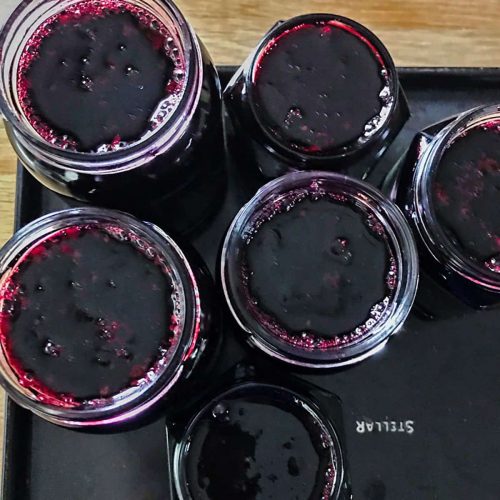 How to make Blackcurrant Jam - Farmersgirl Kitchen