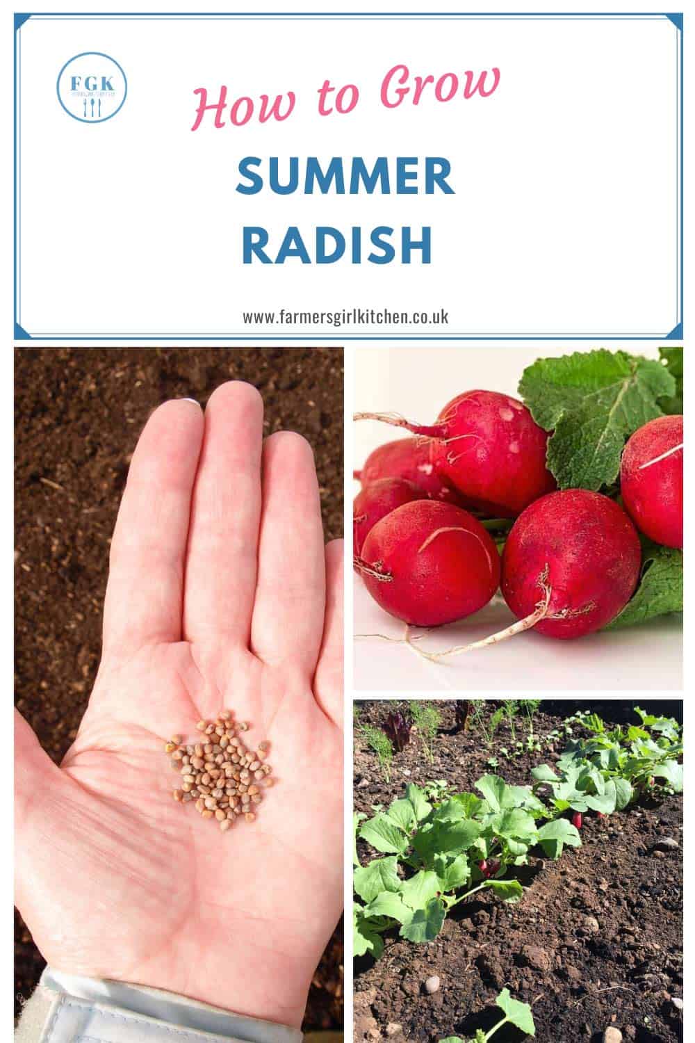 How to Grow Summer Radish - Farmersgirl Kitchen