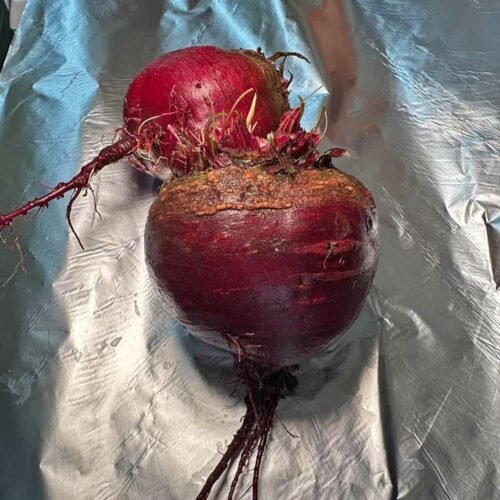 Easy Pickled Beetroot - Farmersgirl Kitchen