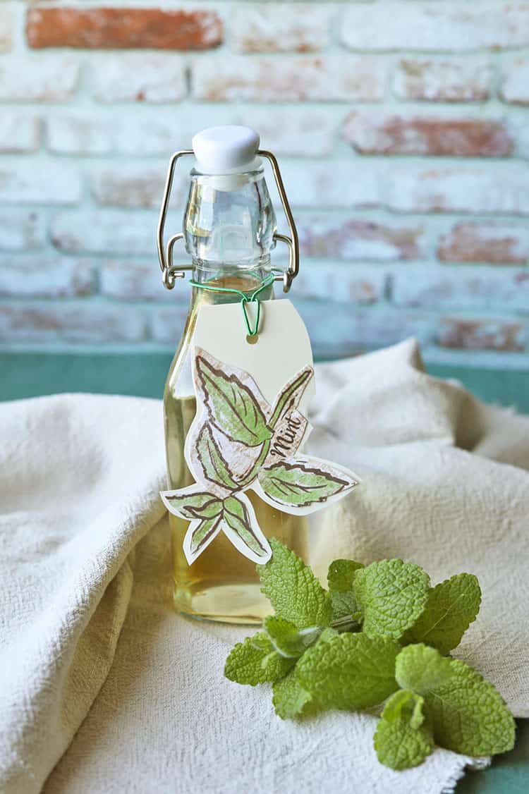 APPLE MINT VINEGAR - Farmersgirl Kitchen