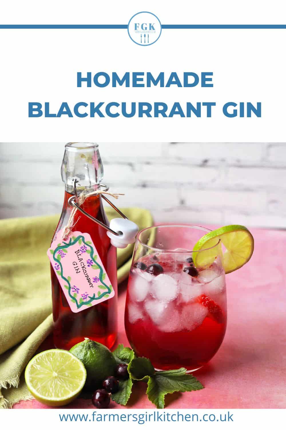 Blackcurrant Gin - Farmersgirl Kitchen